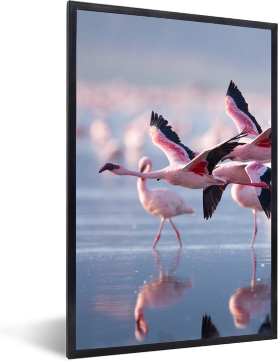Poster - Fotolijst - Flamingo - Zee - Water - Vogel - Tropical - Frame ...