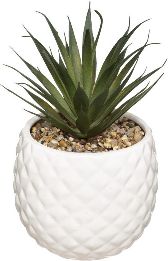 Kunstplant in Witte Ananas Pot – H21 cm | bol