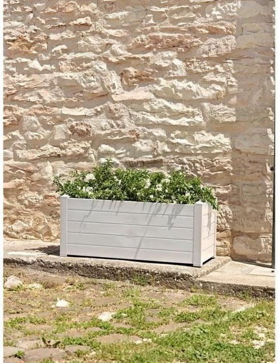 Grondlegger TeraPlast Wit 40 x 100 cm | bol.com