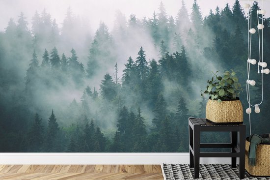 Fotobehang Bos In Mist | bol