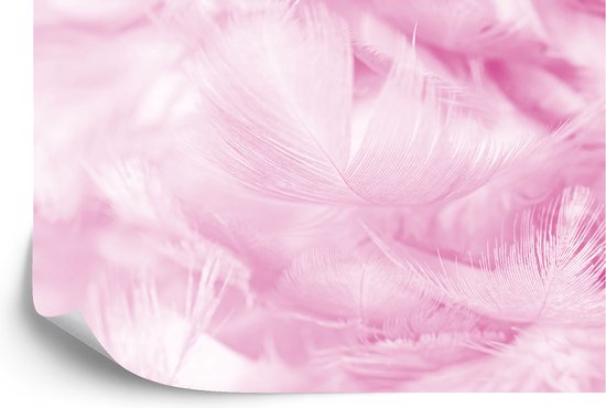 Fotobehang Veren In Roze | bol