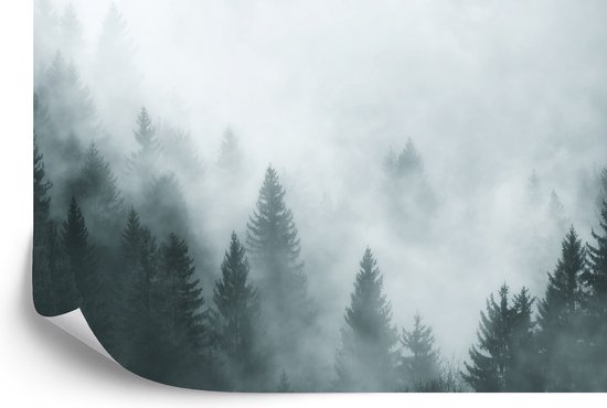Fotobehang Bos In Mist | bol