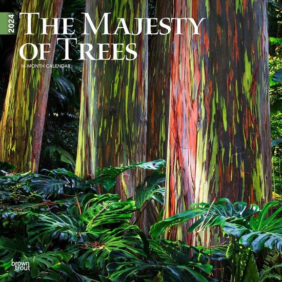 Majesty of Trees, the 2024 Square, Browntrout | 9781975463816 | Boeken ...