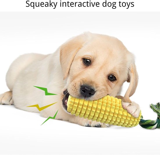 Hondenspeelgoed – Sterk – Kauwspeeltje – Voor Puppy’s tot Middelgrote ...