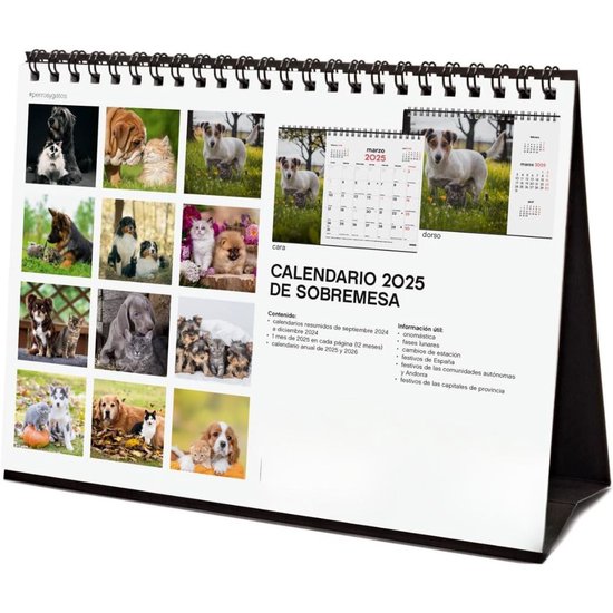 Bureau Kalender 2025 - Bureaukalender 2025 Staand - Bureau Kalender ...