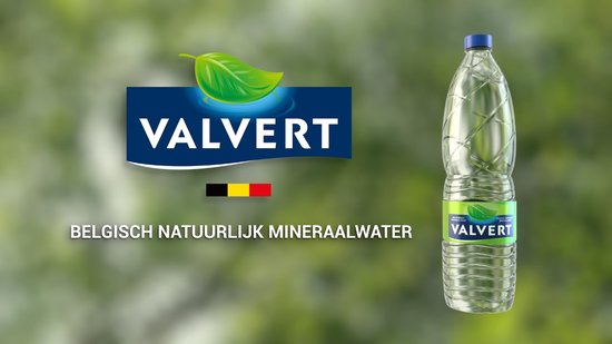 VALVERT WATER RPET 50CL - 24 stuks | bol