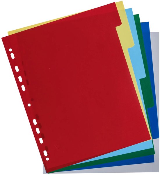 Exacompta 83H 100x Intercal. PP 12/100 A4+ 6Positions | bol