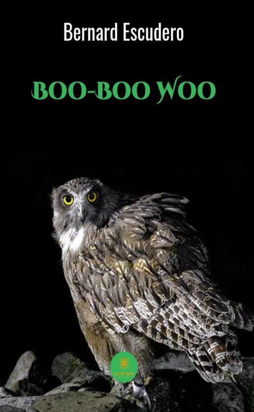 Boo-Boo Woo (ebook), Bernard ESCUDERO | 9782378778835 | Boeken | bol.com