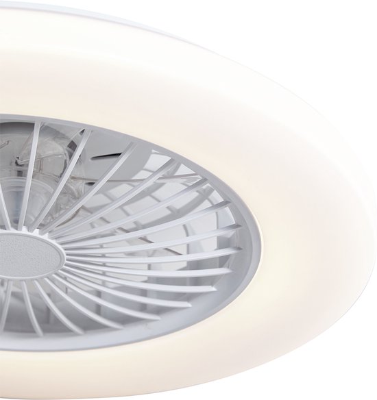 QAZQA clemo - Stille LED Plafondventilator met Verlichting | Lamp en ...