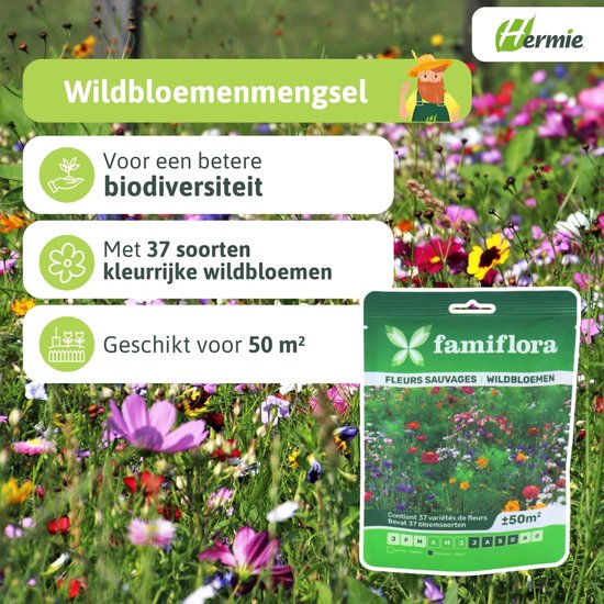Famiflora wildbloemenmengsel voor bloemenweide tot 50m² - 37 ...