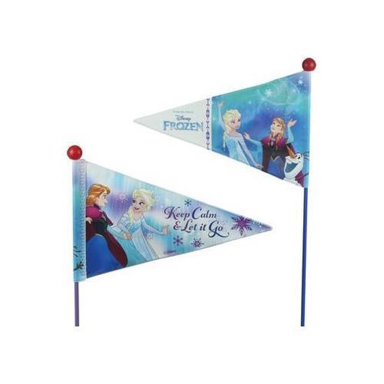 Widek vlag Frozen deelb | bol.com