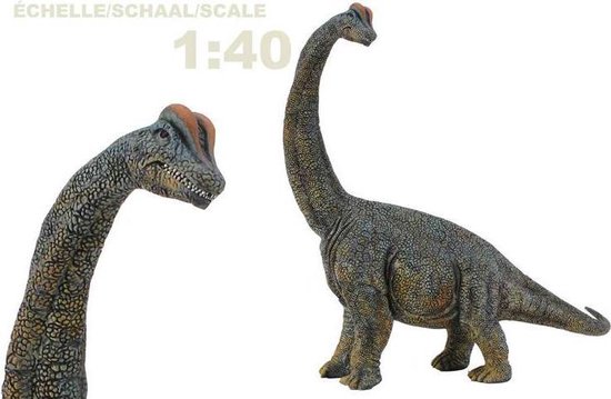 Collecta Prehistorie Deluxe Brachiosaurus 28,5 cm | bol.com