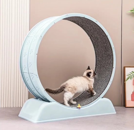 Loopwiel kat - Katten loopwiel - Looprad kat - Kattenwiel - Looprad ook ...