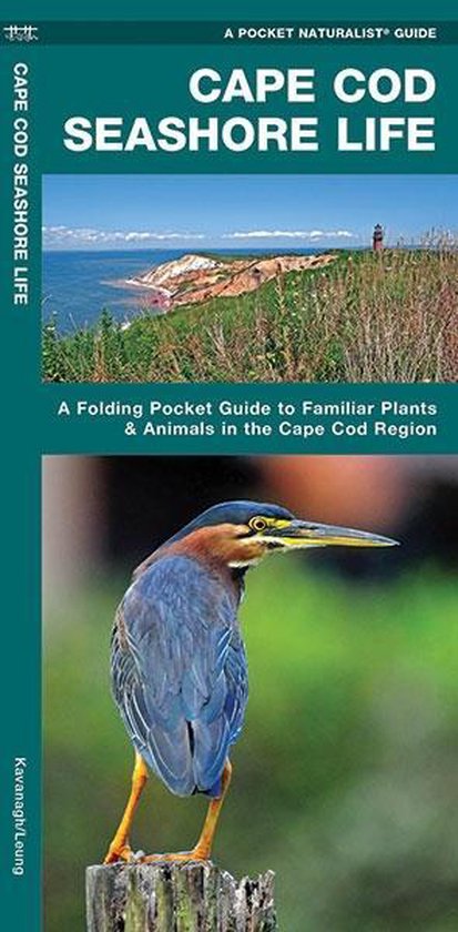 Cape Cod Seashore Life: A Folding Pocket Guide to Familiar Plants ...