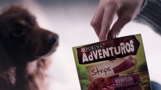 AdVENTuROS Mini Sticks - Buffalo - Friandises pour chiens - 6 x 90 g | bol