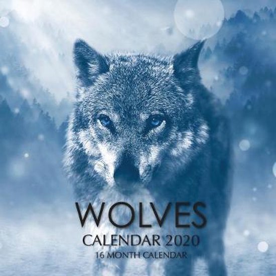 Wolves Calendar 2020: 16 Month Calendar, Golden Print | 9781694379177 ...