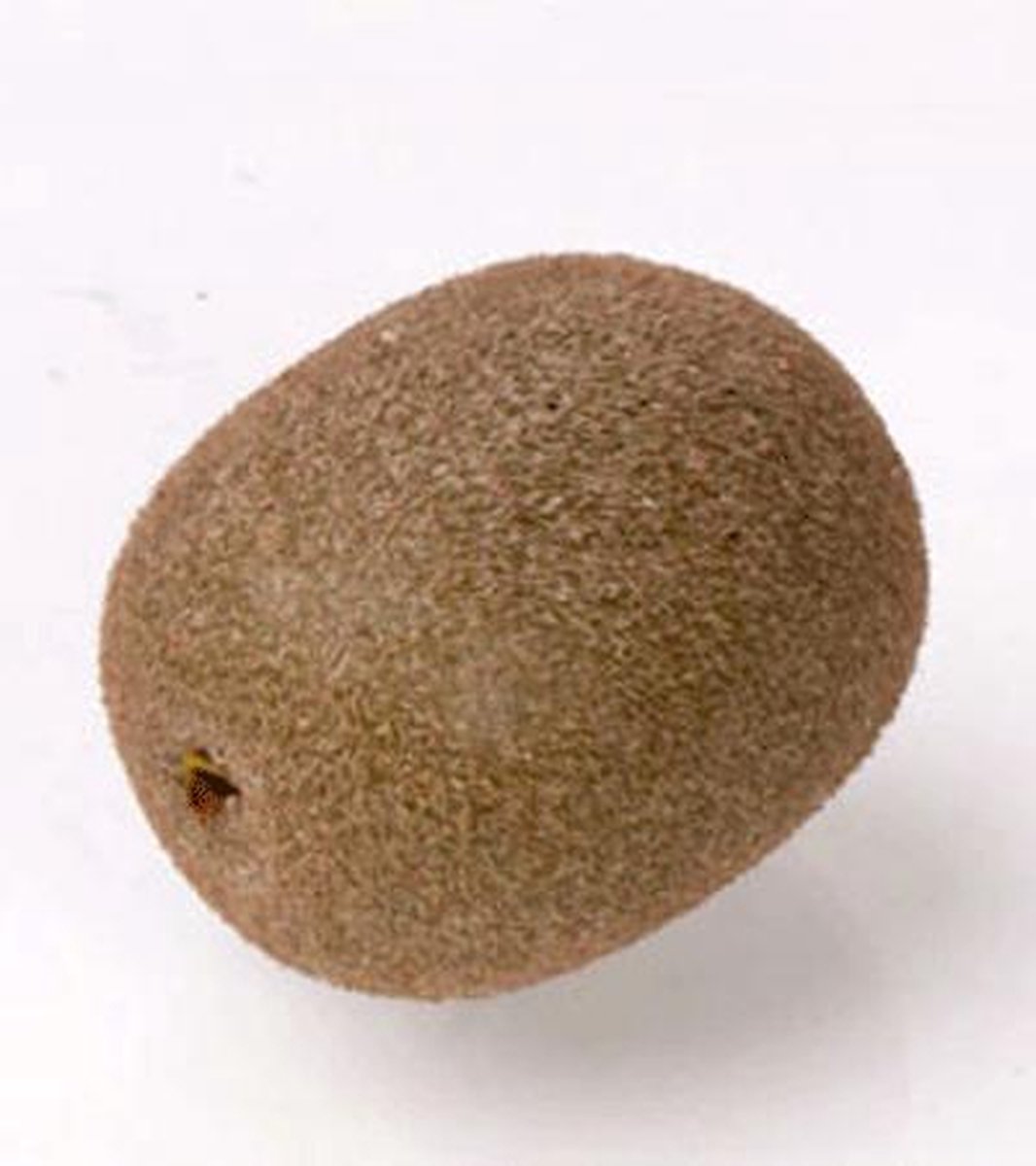 Nep fruitschaal kiwi fruit 6 cm - decoratie artikelen | bol.com