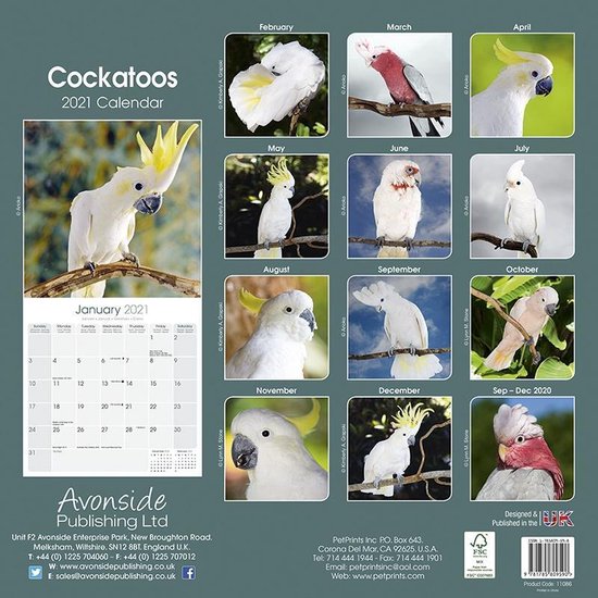 Cockatoos - Kakadus 2021 | bol.com