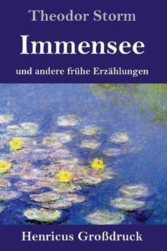 Immensee (Großdruck), Theodor Storm | 9783847836667 | Boeken | bol