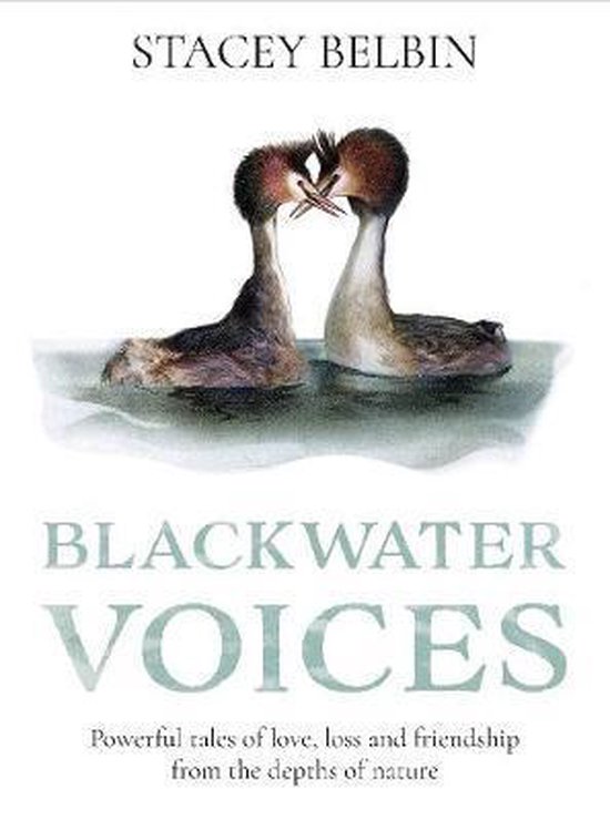 Blackwater Voices, Stacey Belbin | 9781838592684 | Boeken | bol.com