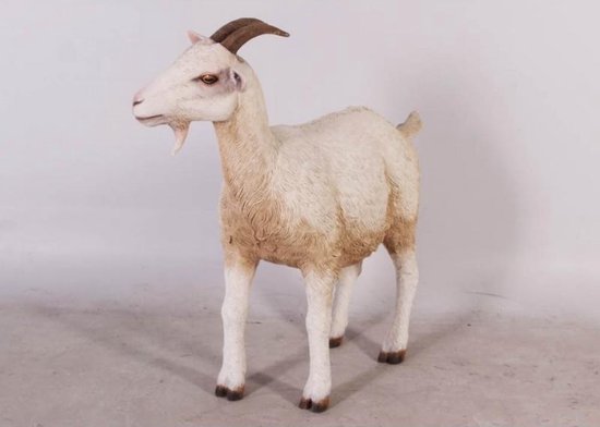 Beeld van een geit | bol