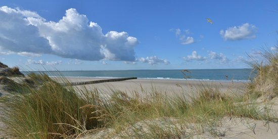 Fotobehang Burgh Haamstede duinen en strand 250 x 260 cm - € 175,-- | bol