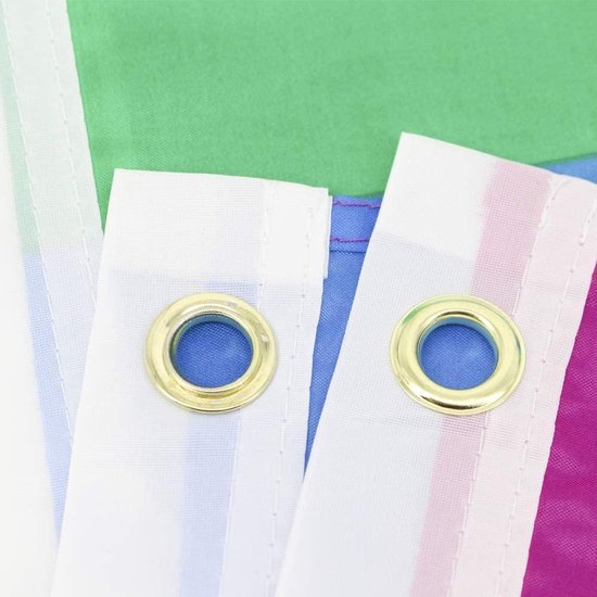 Polyseksueel Vlag - Grote Polysexueel Polysexual Flag - Polyseksuele/Polysexuele LGBT... | bol.com