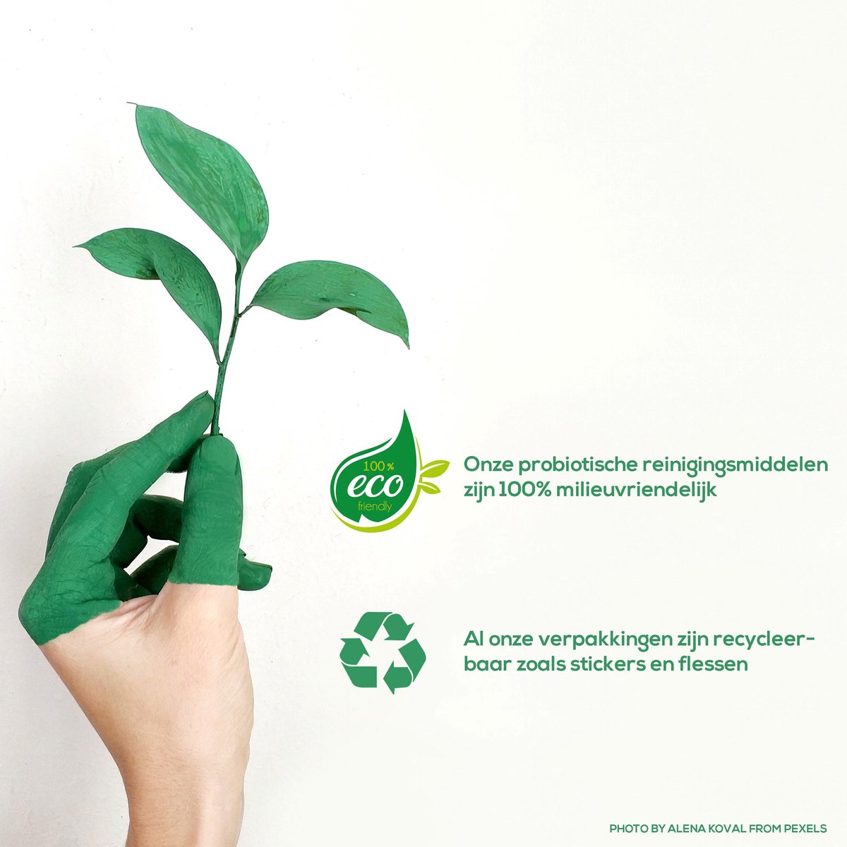 ProBiotec Anti Huisstofmijt Spray – 250ml - Probiotisch en Ecologisch | bol