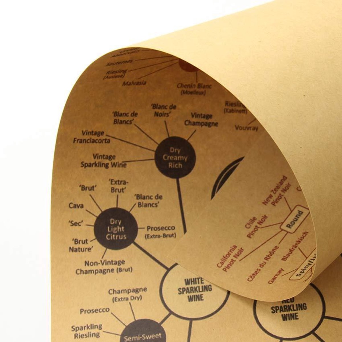 Wijn Soorten Diagram Poster 51x36cm. Uitgebreid per Kleur | bol.com