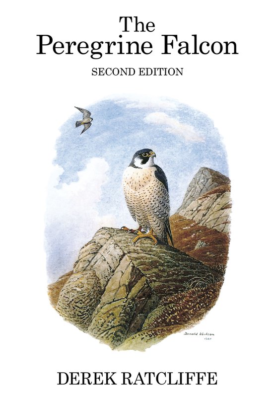 The Peregrine Falcon (ebook), Derek Ratcliffe | 9781408136836 | Boeken ...