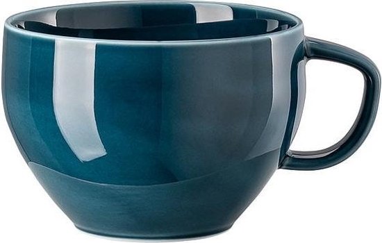 Rosenthal 10540-405202-14852 kopje | bol