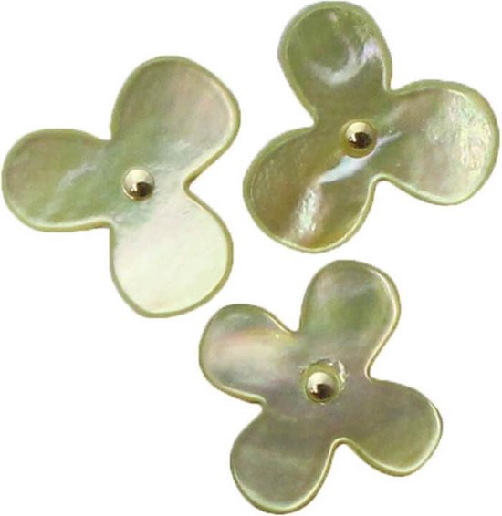 Cohana Bloem punaises van oester schelp geel | bol.com