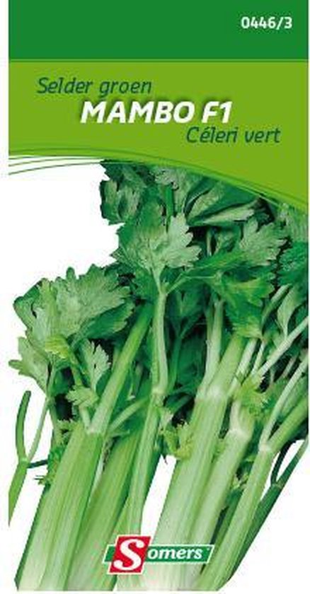 Somers zaden - Groene selder Mambo | bol