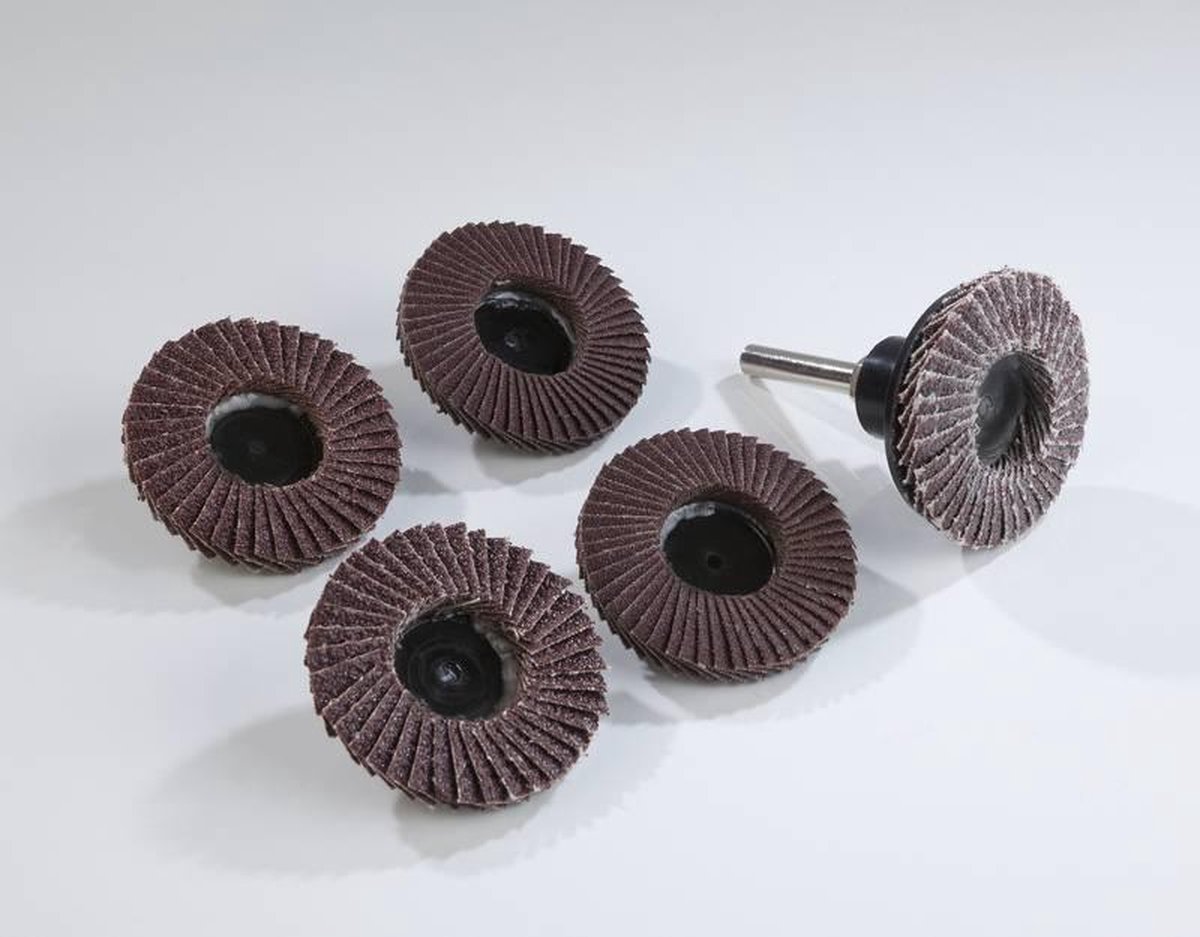 Westfalia Slijpschijven set, 5-delig, 50 mm | bol.