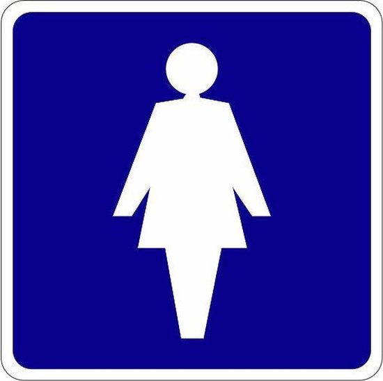 Pictogramme Autocollant WC Dames 20 cm | bol.com