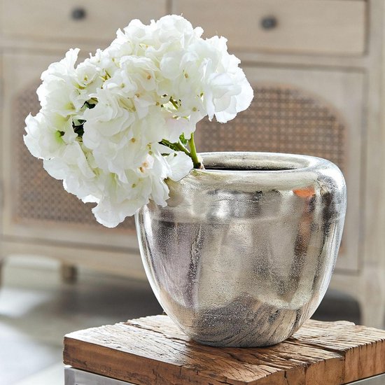 LOBERON Vaas Birs zilverkleurig | bol.com