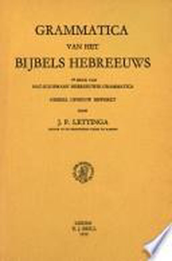 Grammatica van het Bijbels Hebreeuws, Lettinga | 9789004035713 | Boeken ...
