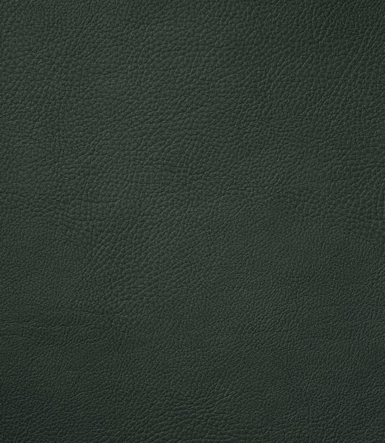 2x Monaco XL Placemat Jungle Green - lederlook - Groen - rechthoek ...