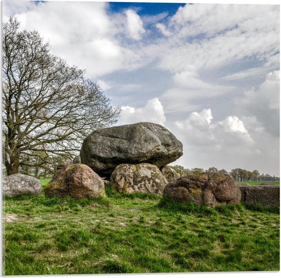 Acrylglas - Grote Stenen in Groene Wei - 50x50cm Foto op Acrylglas ...