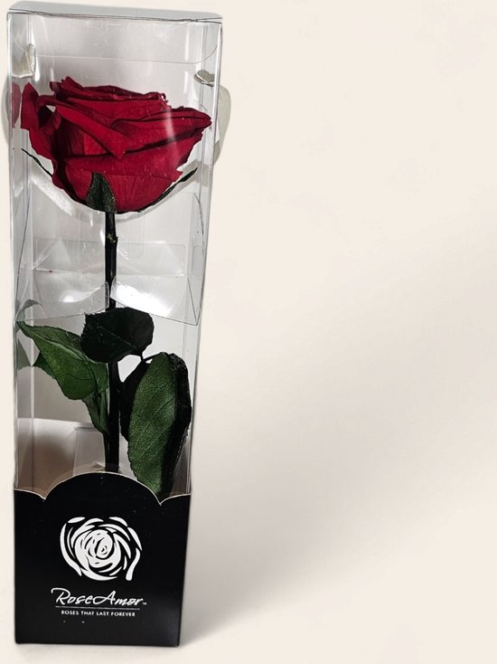Rose amor- Longlife echte rode roos - doorzichtige cadeau koker ...