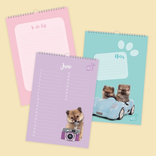 Studio Pets A4 Pomeriaan Puppy verjaardags kalender maandplanner! | bol