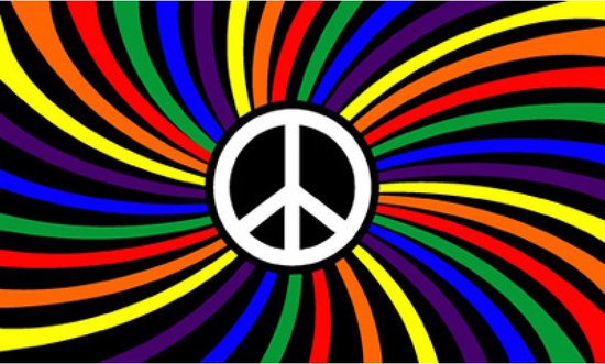 Regenboog Vrede vlag 90x150cm - Polyester - 2 ophangringen – rainbow peace flag | bol