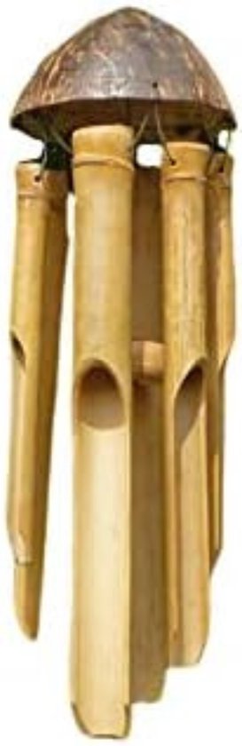 DD Windgong Bamboe - Windvanger - Windorgel - 37x12x12cm - Natuur | bol