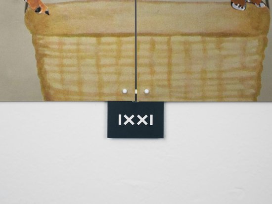 IXXI Dachshund with airballoon, Coco de Paris - 60 x 80 cm - Gratis ophangtool - Grote... | bol