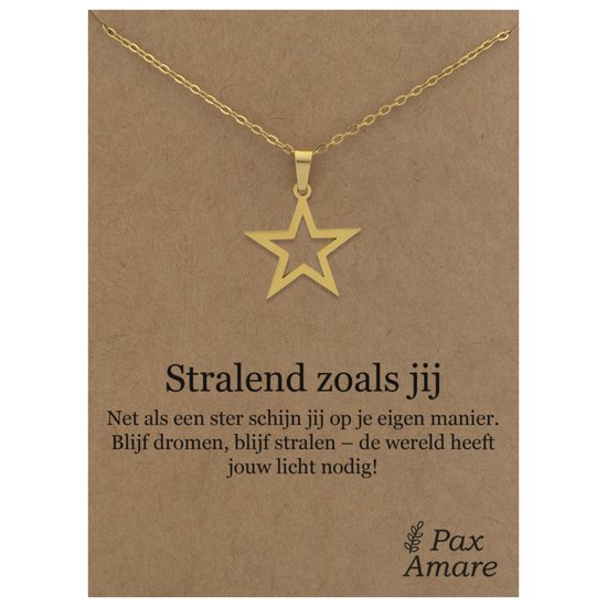 Stainless Steel Ster ketting op Cadeau Kaartje - Stralend zoals jij ...