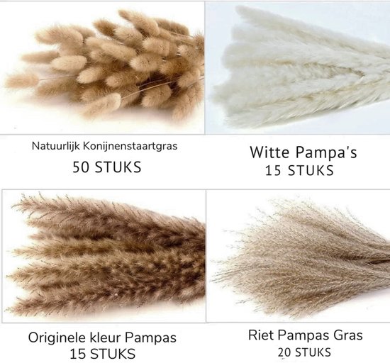 Gedroogd Pampasgras Decor - 100-Delige Set Met Konijnenstaarten En ...
