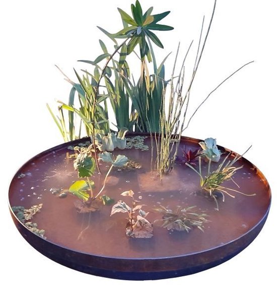 Waterschaal Cortenstaal Belle - 80 cm | bol