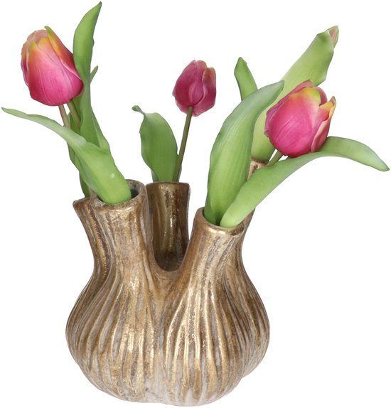 Countryfield Vaas Fabio bulb Tulipa 8 aardew L17B17H17CM goud | bol