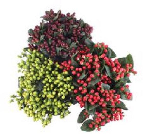 120x Hyper.mix var. 50cm | bol