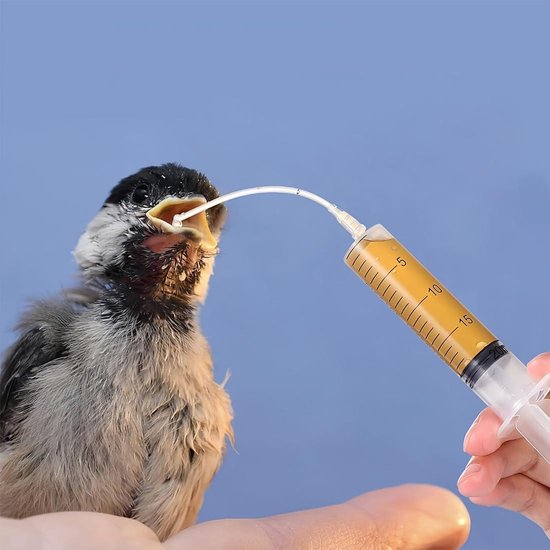 10 Bird Feeding Probes Including 1 Syringe of 10 ml Baby Bird for ...